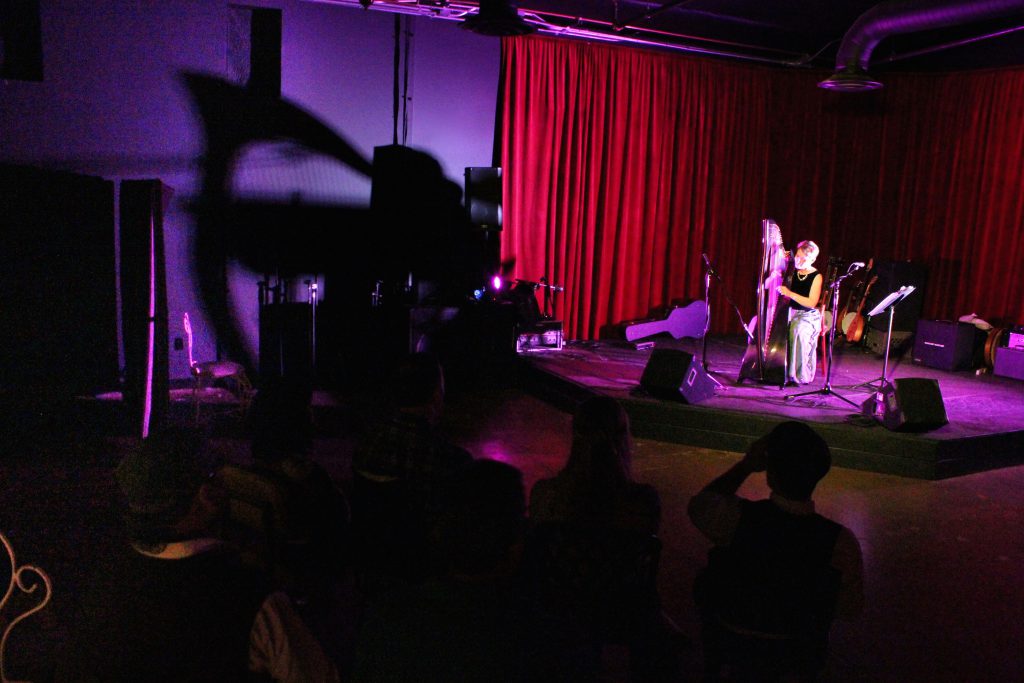 The Top 10 Ways to Use Live Harp Music | -HARPIST ANNE ROOS' BLOG